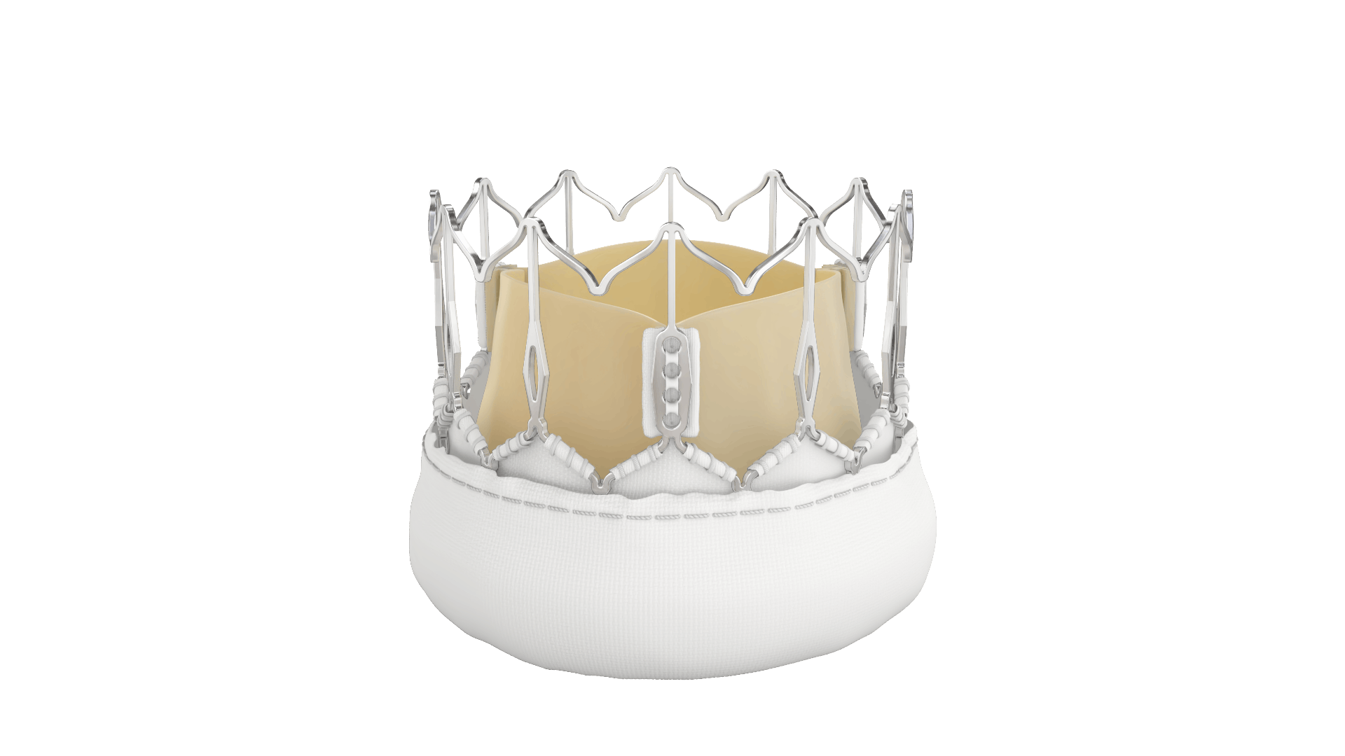 Meril’s Myval Octapro THV Launched in Europe - Cardiac Interventions Today